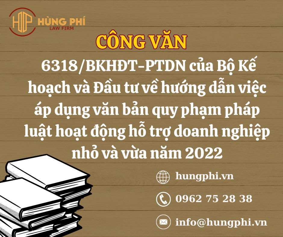 Công văn 6318/BKHĐT-PTDN của Bộ Kế hoạch và Đầu tư về hướng dẫn việc áp ...